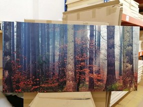 Obraz tajemství lesa - 120x60 cm