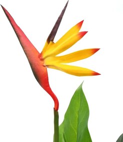 vidaXL Umělá rostlina strelície královská pták z ráje 66 cm [245946]