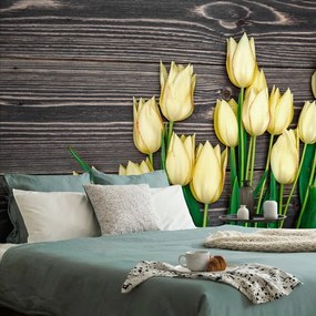 Samolepící fototapeta žluté tulipány na dřevěném podkladu - 375x250 cm