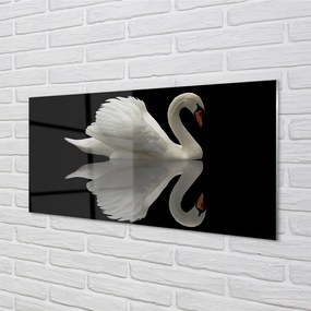akrylový obraz Swan v noci 140x70 cm