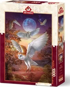 ART PUZZLE 5273 Puzzle Noční sovy / 1000 dílků / od 15 let
