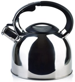 Kovová čajová konvice Sten Silver 2,5l