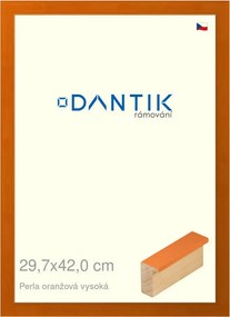 DANTIK rámeček 29,7x42 | PERLA oranžová vysoká (Plexi Čiré)