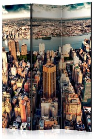 Paraván - Bird's Eye View of New York [Room Dividers]