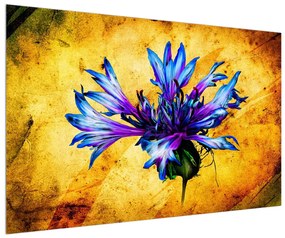Obraz květu chrpy (120x80 cm)