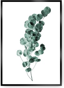 Plakát Eucalyptus Emerald Green