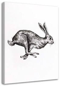 Gario Obraz na plátně Zajíc na útěku - Jan Perit Kablan Rozměry: 40 x 60 cm