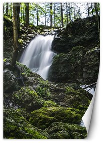 Gario Fototapeta Vodopád uprostřed lesa Materiál: Vliesová, Rozměry: 100 x 140 cm