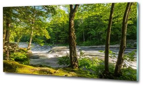 Wallmuralia Foto obraz skleněný horizontální Řeka v lese 100x50
