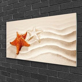 Obraz na skle Hvězdice na Písku Pláž 100x50 cm
