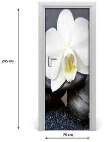 Fototapeta na dveře Orchidej zen 75x205 cm