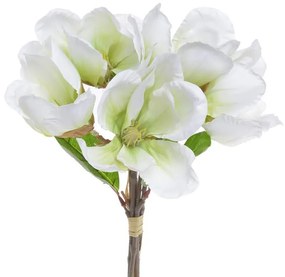 buket magnolií - bílá se zeleným středem