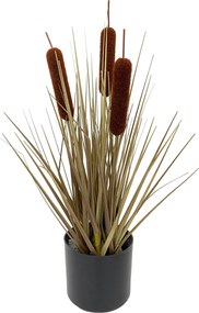XXXLutz OROBINEC 40 cm Ambia Home - Dekorační tráva - 0039530089