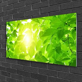 Obraz na skle Listy Příroda Slunce Rostlina 125x50 cm