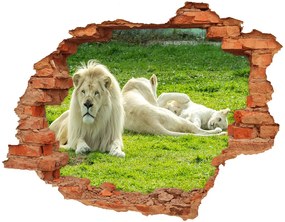Wallmuralia Samolepící díra nálepka Béžoví lvi 90x70 cm