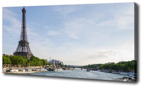 Wallmuralia Foto obraz canvas Eiffelova věž Paříž 100x50