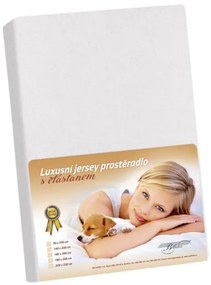 Bellatex prostěradlo jersey s elastanem bílá rozměr 90x200x40 cm