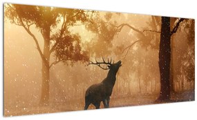 Jelen v přírodě (100x40cm)