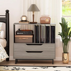 Costway Stojan na gramofon s 4 vinylovými přihrádkami a 2 zásuvkami