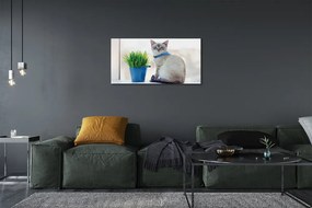 Obrazy na plátně sedící kočka 140x70 cm