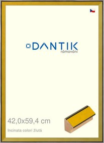 DANTIK rámeček 42x59,4 | INCLINATA colori žlutá (Plexi Čiré)