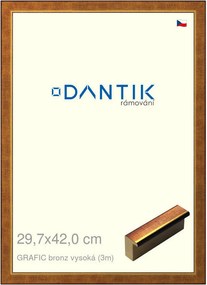 DANTIK rámeček 29,7x42 | GRAFIC bronz vysoká (Plexi Čiré)