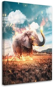 Gario Obraz na plátně Slon v plamenech - Alex Griffith Rozměry: 40 x 60 cm