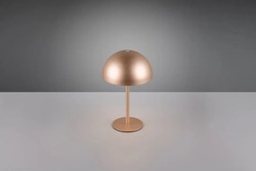 LED stolní lampa v bronzové barvě s kovovým stínidlem (výška 21 cm) Munoz – Reality