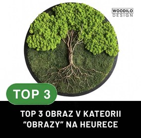 WOODILO Mechový kulatý obraz 320 | kombinace mechů | Strom života s kořeny Barva rámu: Černá, Průměr obrazu: ø 30 cm