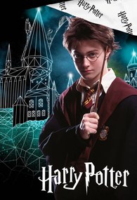 Dětské povlečení Harry Potter Kouzelné Bradavice