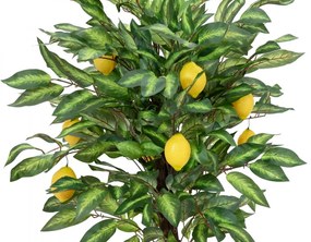 Umělá květina - Citronovník s plody, 150 cm