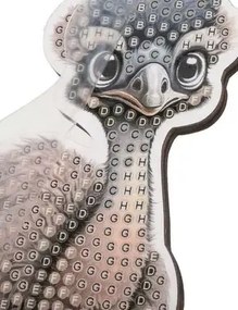 CRYSTAL ART Diamantové malování Na zemi: Emu