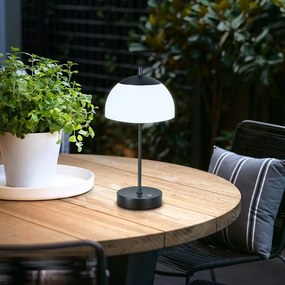 LED stolní lampa (výška 35 cm) Riva – Fischer &amp; Honsel