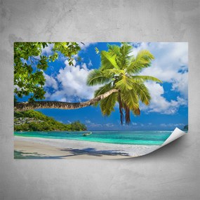 Plakát - Palma nad pláží (60x40 cm) - PopyDesign