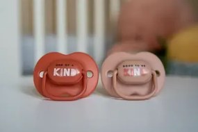 Tommee Tippee Šidítko C2N silikon Any Time 2ks | 18 - 36 měsíců