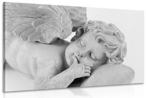 Obraz černobílý spící andílek Varianta: 120x80