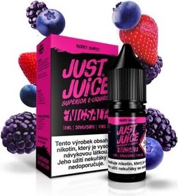 Just Juice Salt Lesní směs 10ml (11mg)