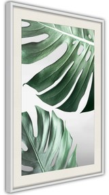 Artgeist Plakát kousek zeleně Velikosti (šířkaxvýška): 20x30, Finální vzhled: Bílý rám s paspartou