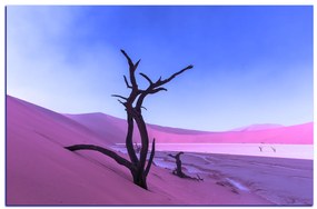Obraz na plátně - Mrtvý strom v dunách 1130FA (60x40 cm)