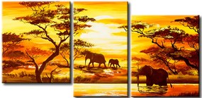 Obraz Sloní rodina (3dílný) - světlý africký motiv s přírodou savany