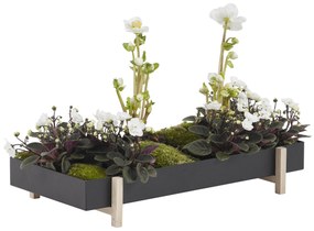 Květináč od Design House Stockholm Botanic Tray