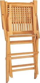 Skládací židle 8 ks 55x62x90 cm masivní teak 3155069