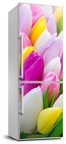 Wallmuralia Foto nálepka na ledničku Barevné tulipány 60x180 cm