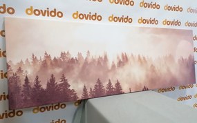 Obraz mlha nad lesem - 135x45 cm
