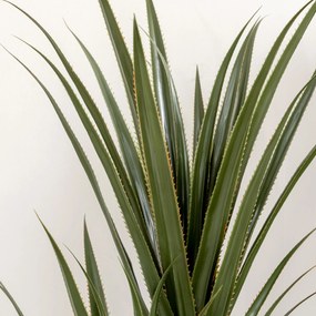 Umělá rostlina yucca HOMCOM v květináči 190 cm - 39 realistických listů pro dekoraci domova, obývacího pokoje, kanceláře a zahrady Ø17x190 cm Zelená