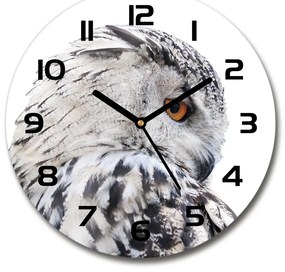 Wallmuralia Skleněné hodiny kulaté Bílá sova fi 30 cm