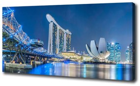 Wallmuralia Moderní obraz canvas na rámu Singapur noc 100x50