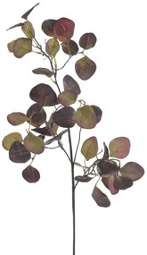 větvička eukalyptus - zelená/vínová