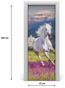 Samolepící fototapeta na dveře Bílý kůň 75x205 cm