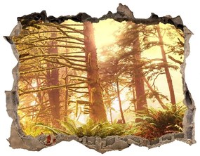 Wallmuralia Díra 3D ve zdi nálepka Deštný prales 95x64 cm